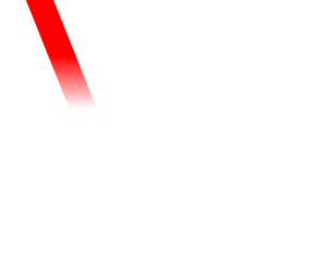 VIECON stellt sich vor